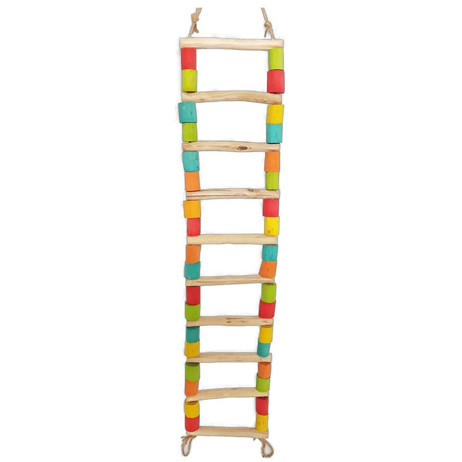 NINO'S JAVA GIANT LADDER — Pet & Aquarium World (Narellan)