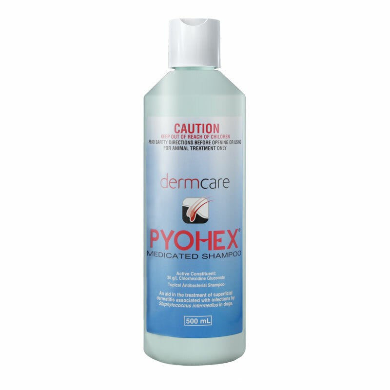 DERMCARE PYOHEX MEDICATED SHAMPOO — Pet & Aquarium World (Narellan)